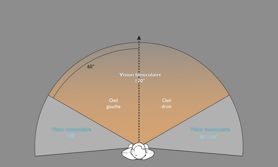 Les 5 règles pour bien dessiner en perspective | Apprendre à dessiner