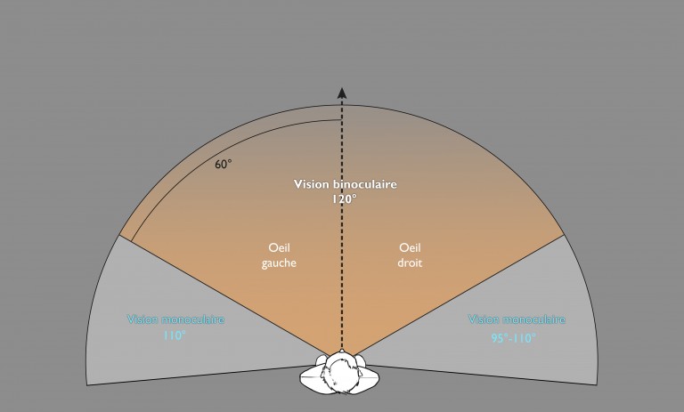 Les 5 règles pour bien dessiner en perspective | Apprendre à dessiner