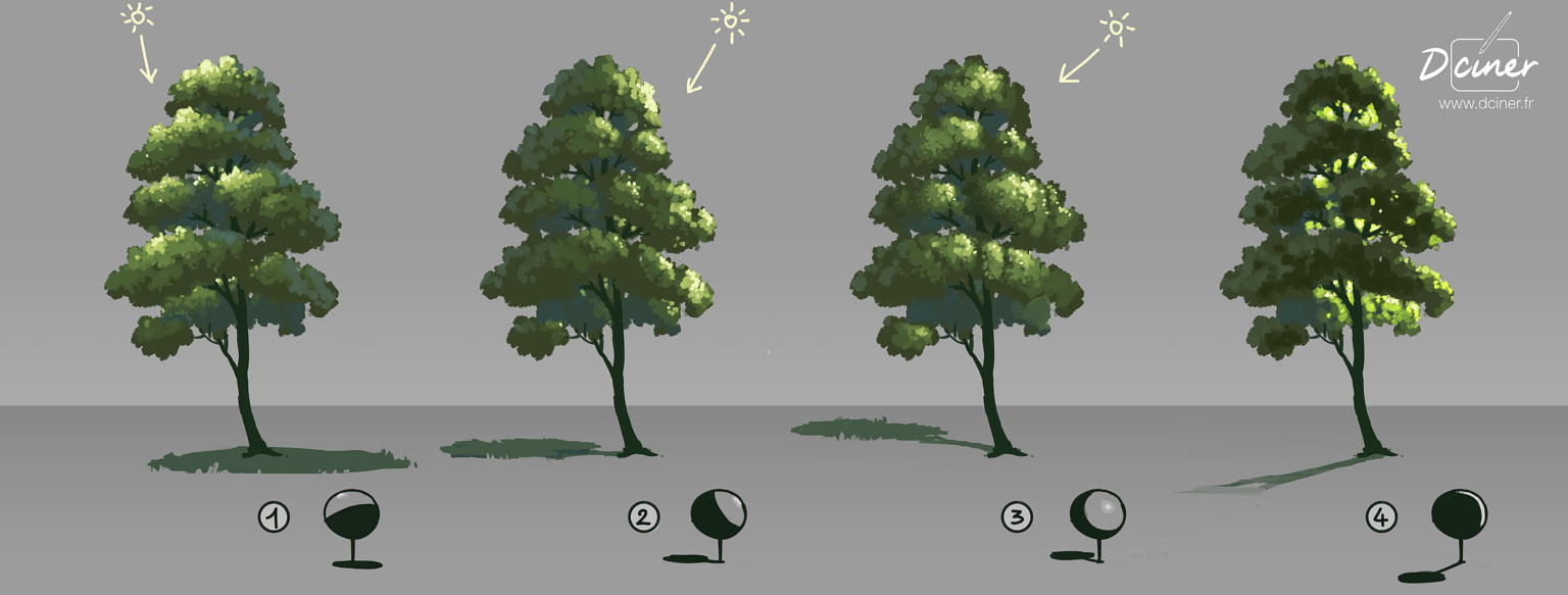 Peindre-un-arbre-et-ombrer | Apprendre à dessiner