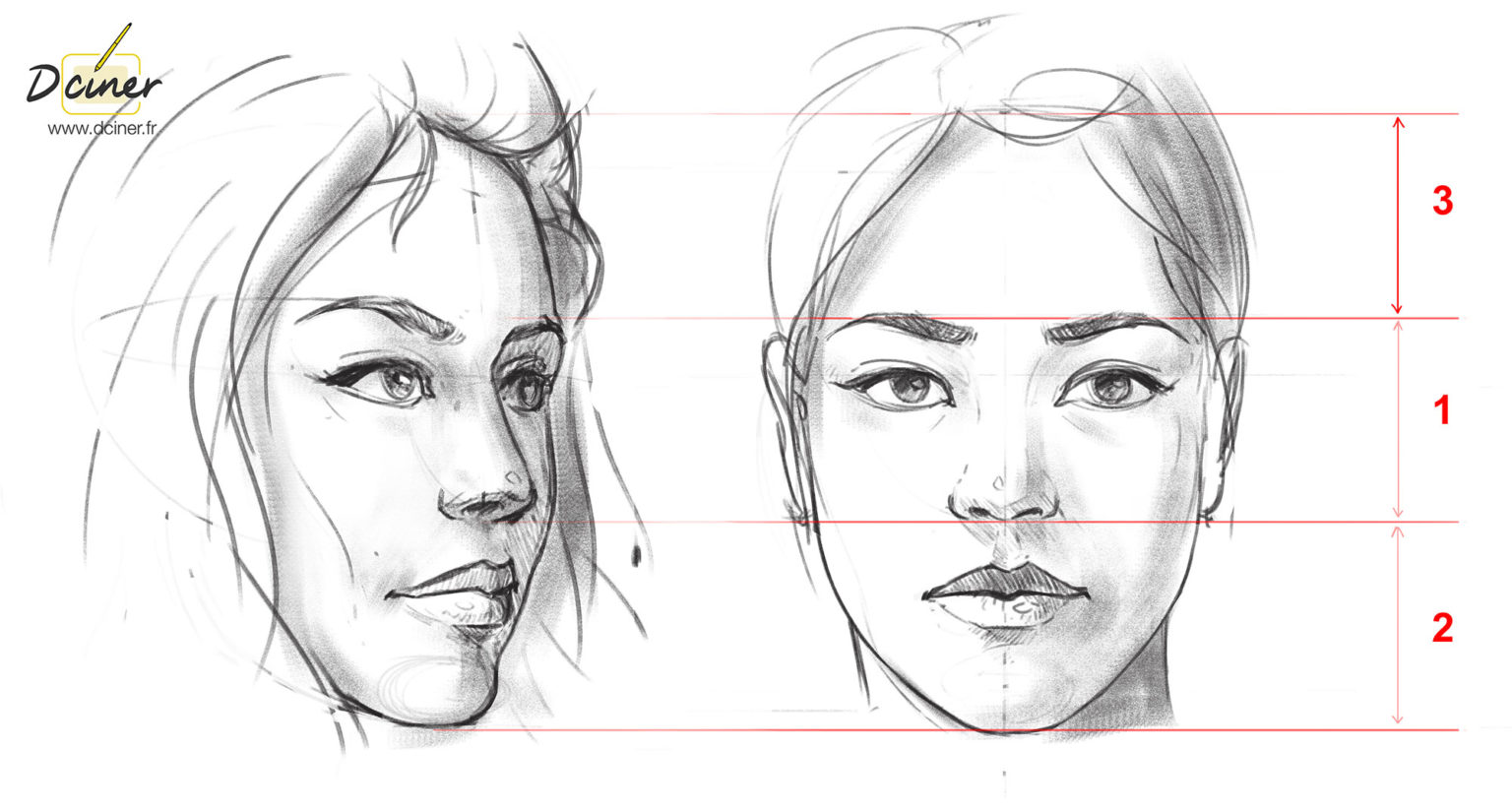 Proportion-du-visage-en-dessin | Apprendre à dessiner