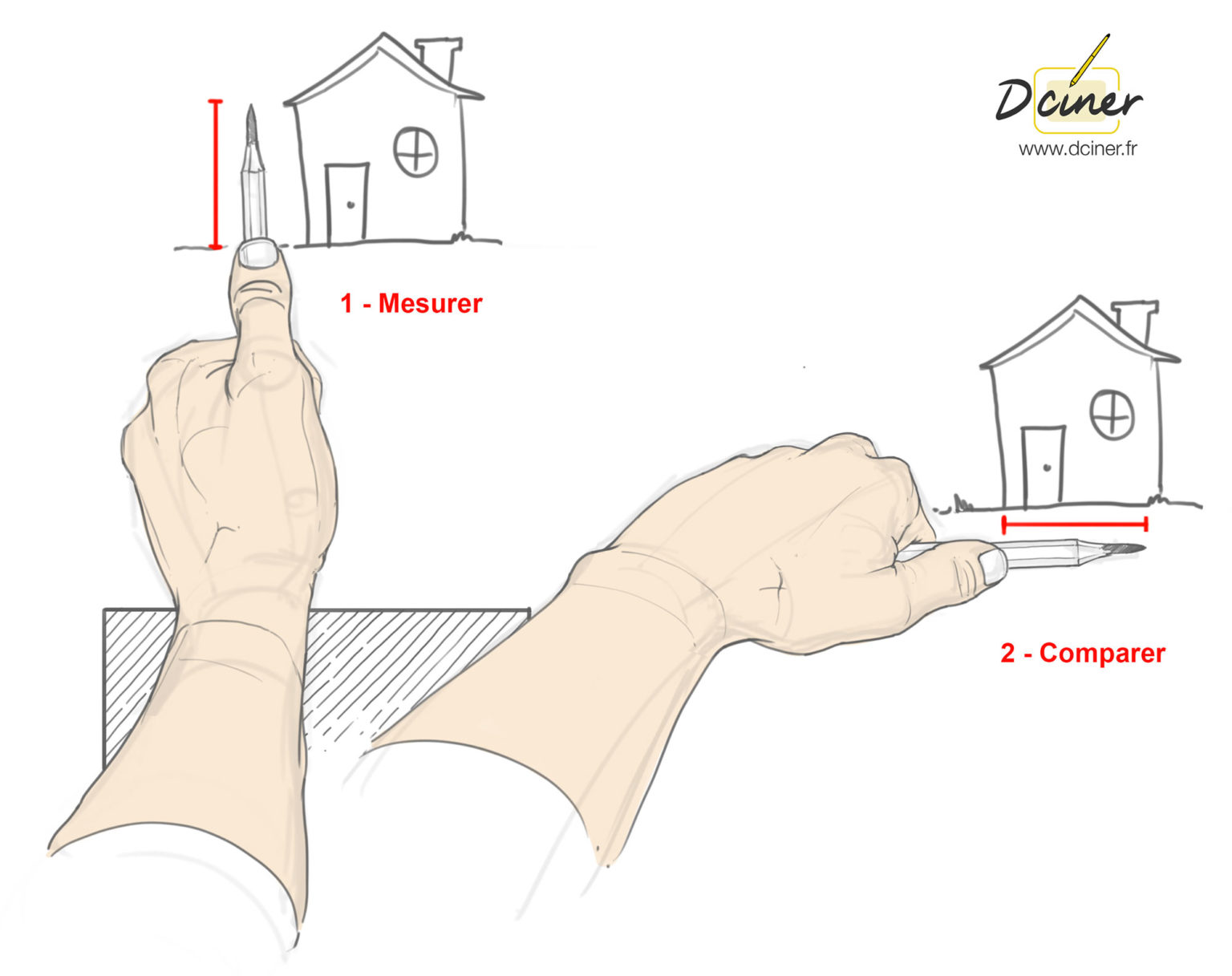 Étude et dessin d’observation | Apprendre à dessiner