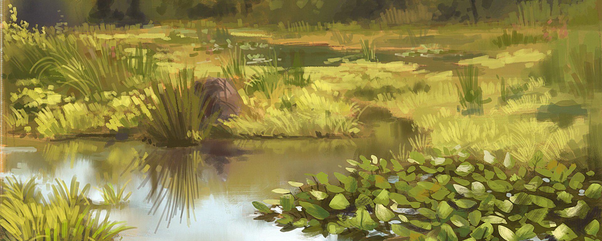 Dessin-d’un-marai | Apprendre à dessiner